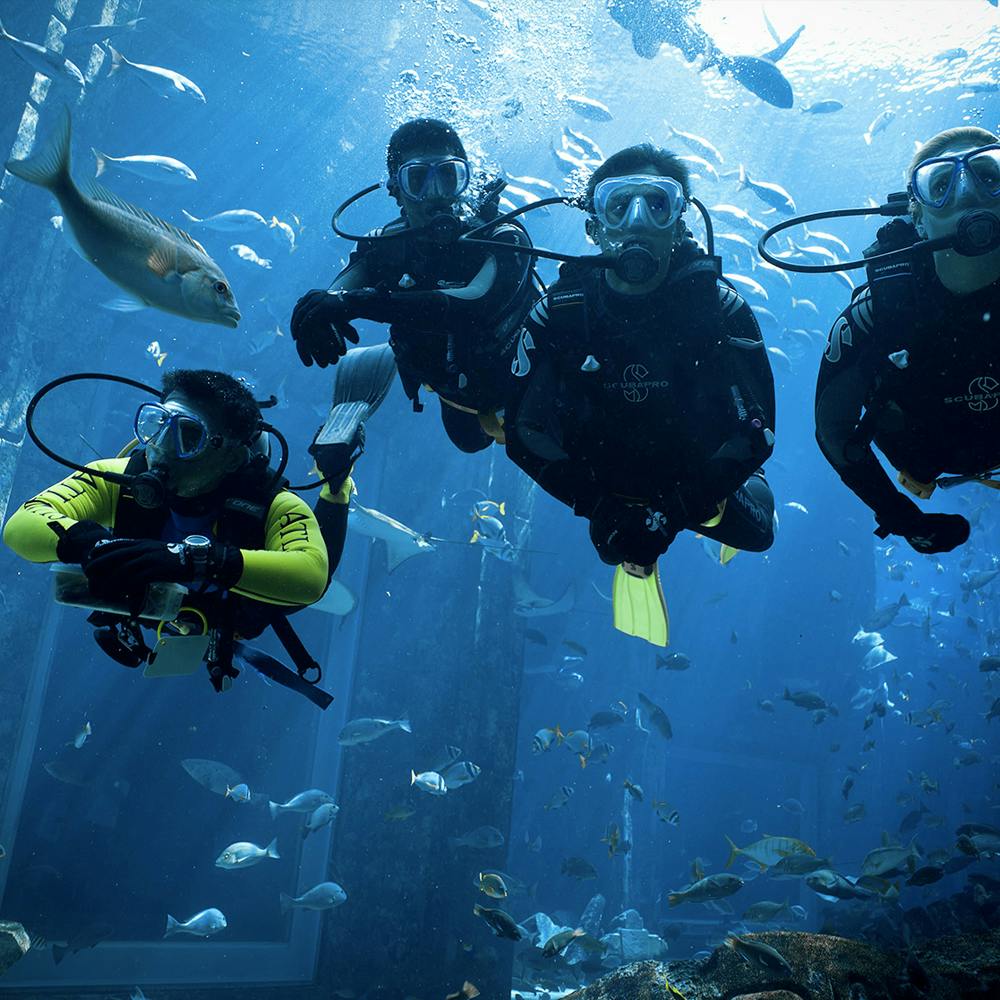 Scuba Diver @ Dubai Aquarium