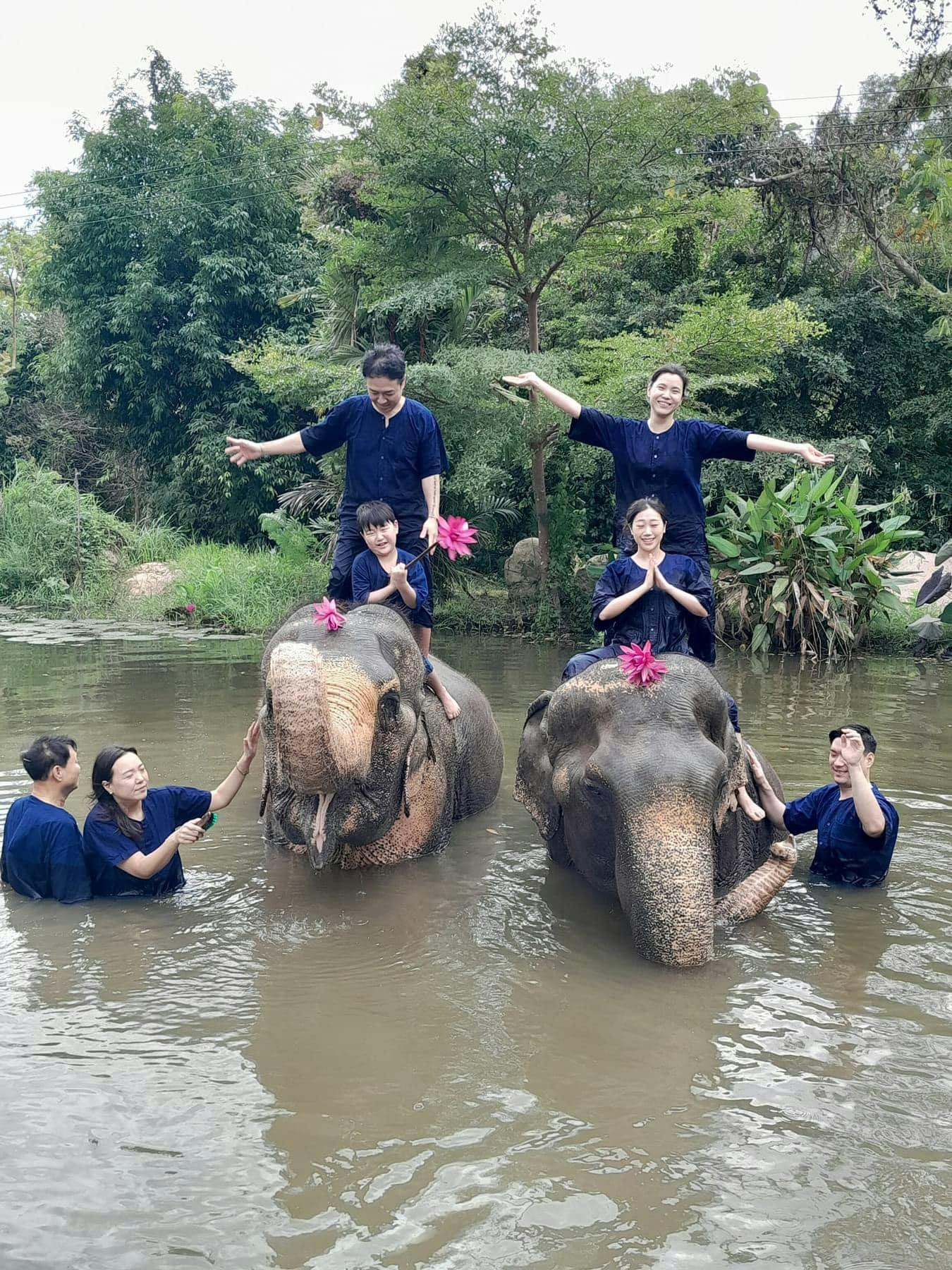Pattaya Elephant Village & Mong Chang Cafe Half-Day Tour Frequently Asked Questions
