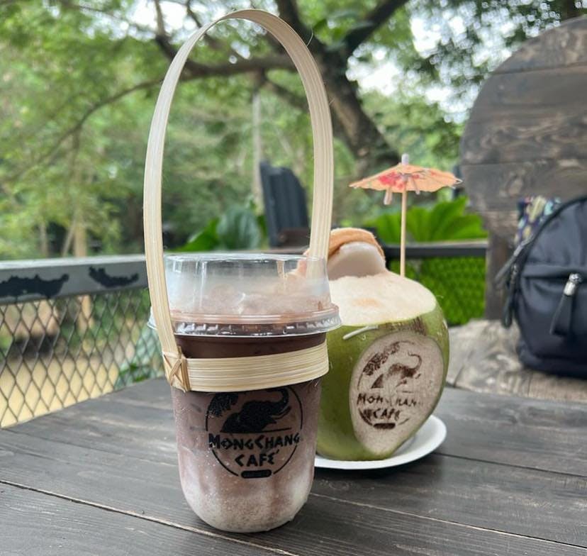 Pattaya Elephant Village & Mong Chang Cafe Half-Day Tour