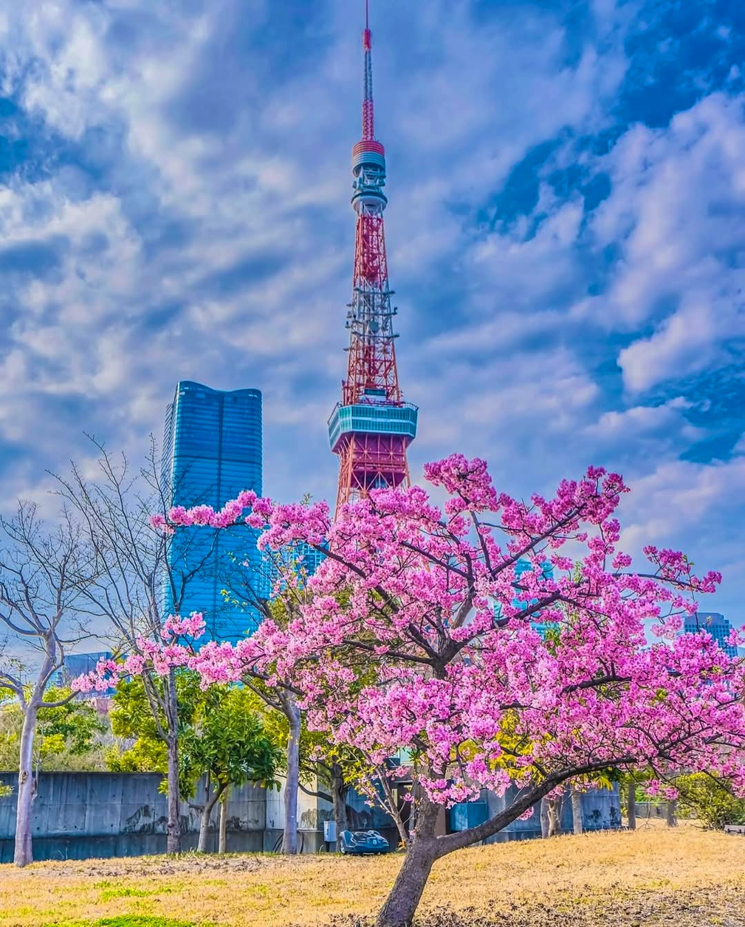 Tokyo Tower Observatory E-Ticket |SAVE 15% TODAY | Skip-the-Line Access ...