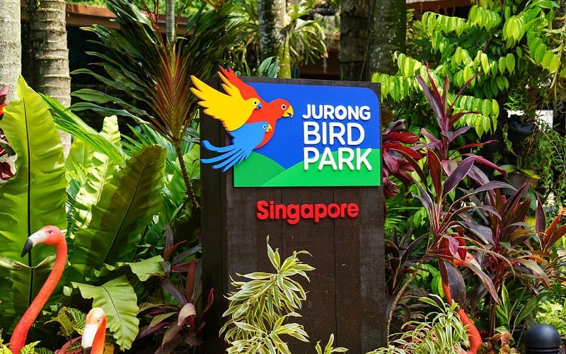 2-in-1 Park Hopper Plus Singapore by Mandai Wildlife Reserves | Save up ...